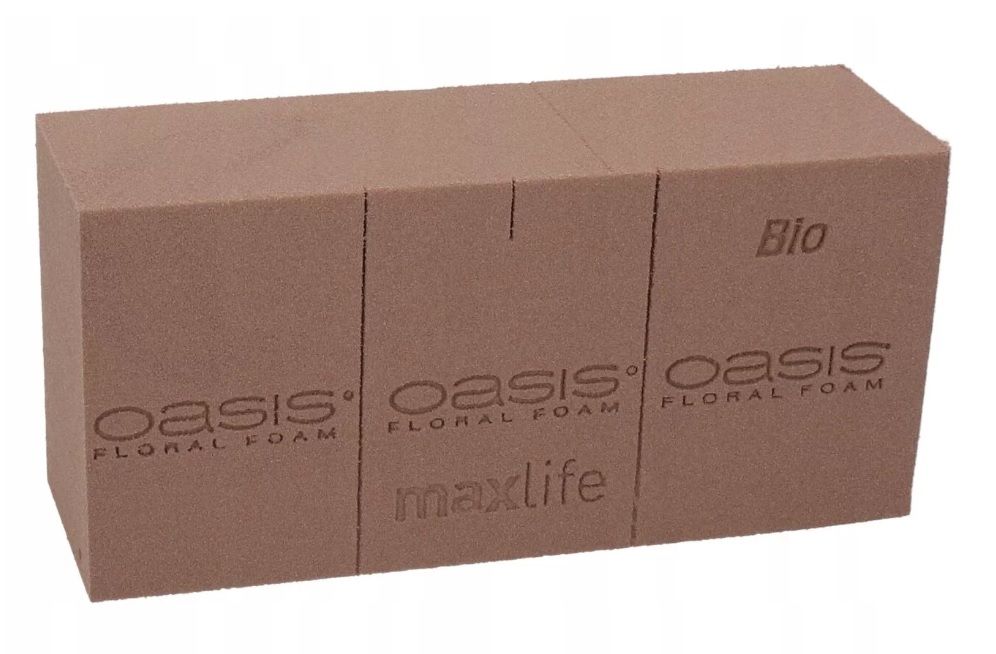 OASIS® BIO Gąbka florystyczna - karton - Ceny i opinie - Ceneo.pl