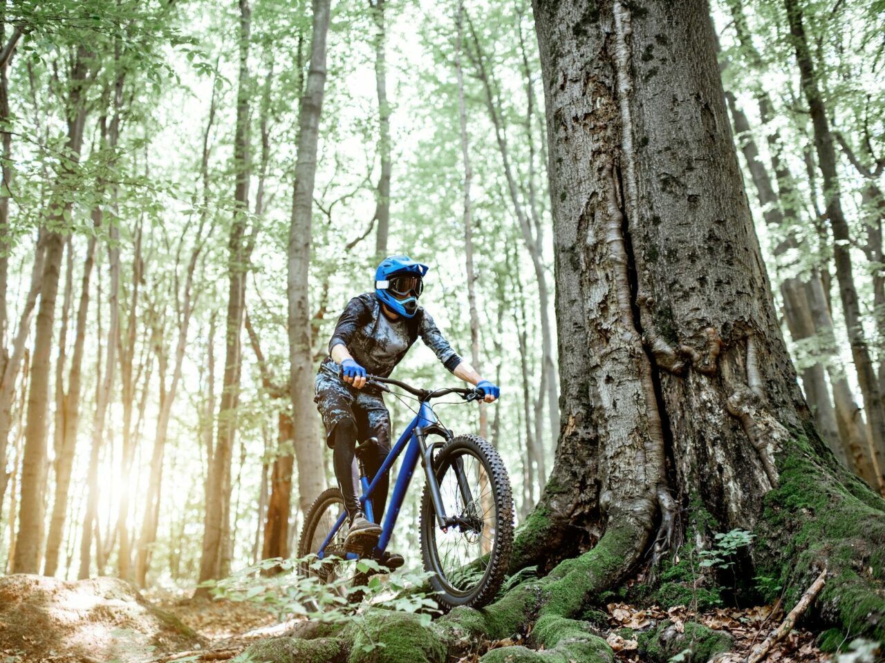 Jaki rower enduro do 6000 zł wybrać? - Poza domem