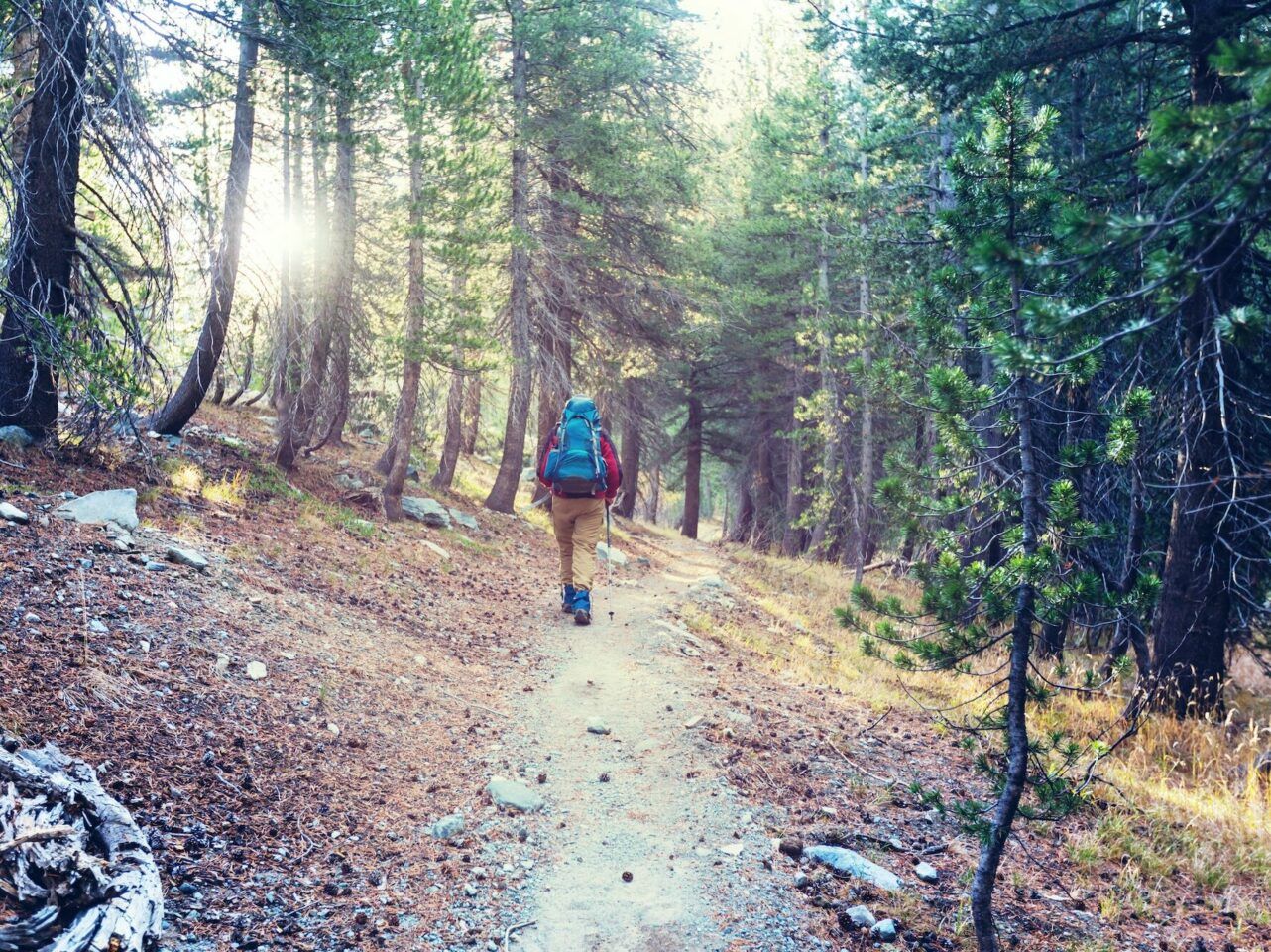 Łysica - piękno Gór Świętokrzyskich na wyciągnięcie ręki - Poza domem