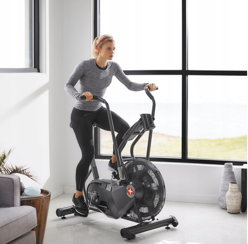 Schwinn Airdyne Ad6I - Ceny i opinie - Ceneo.pl