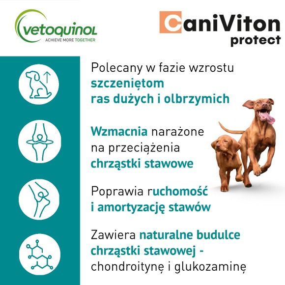 Vetoquinol Caniviton Protect 90 tab - Ceny i opinie - Ceneo.pl