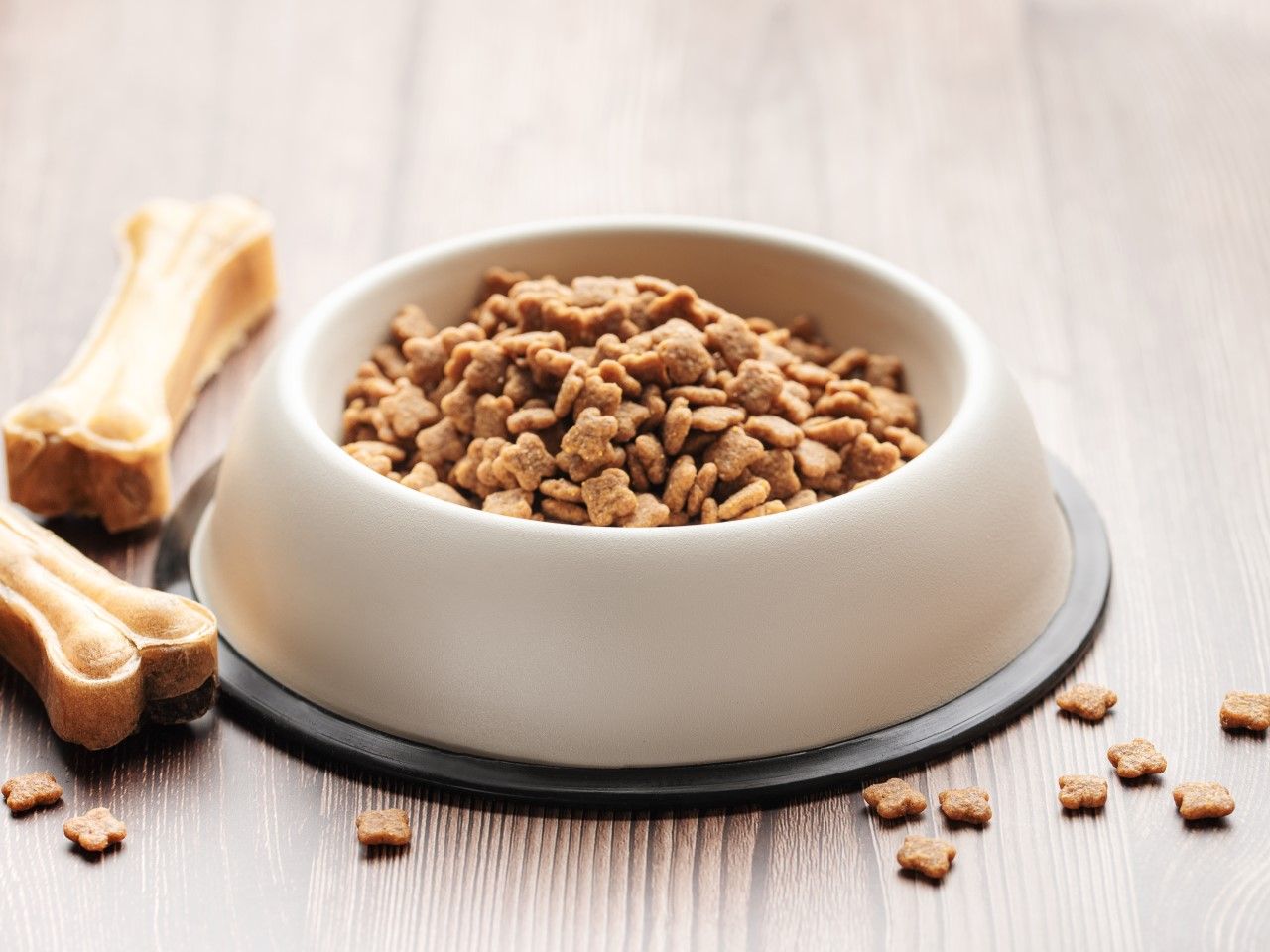 Ranking najlepszych karm dla psów - Ceneo.pl