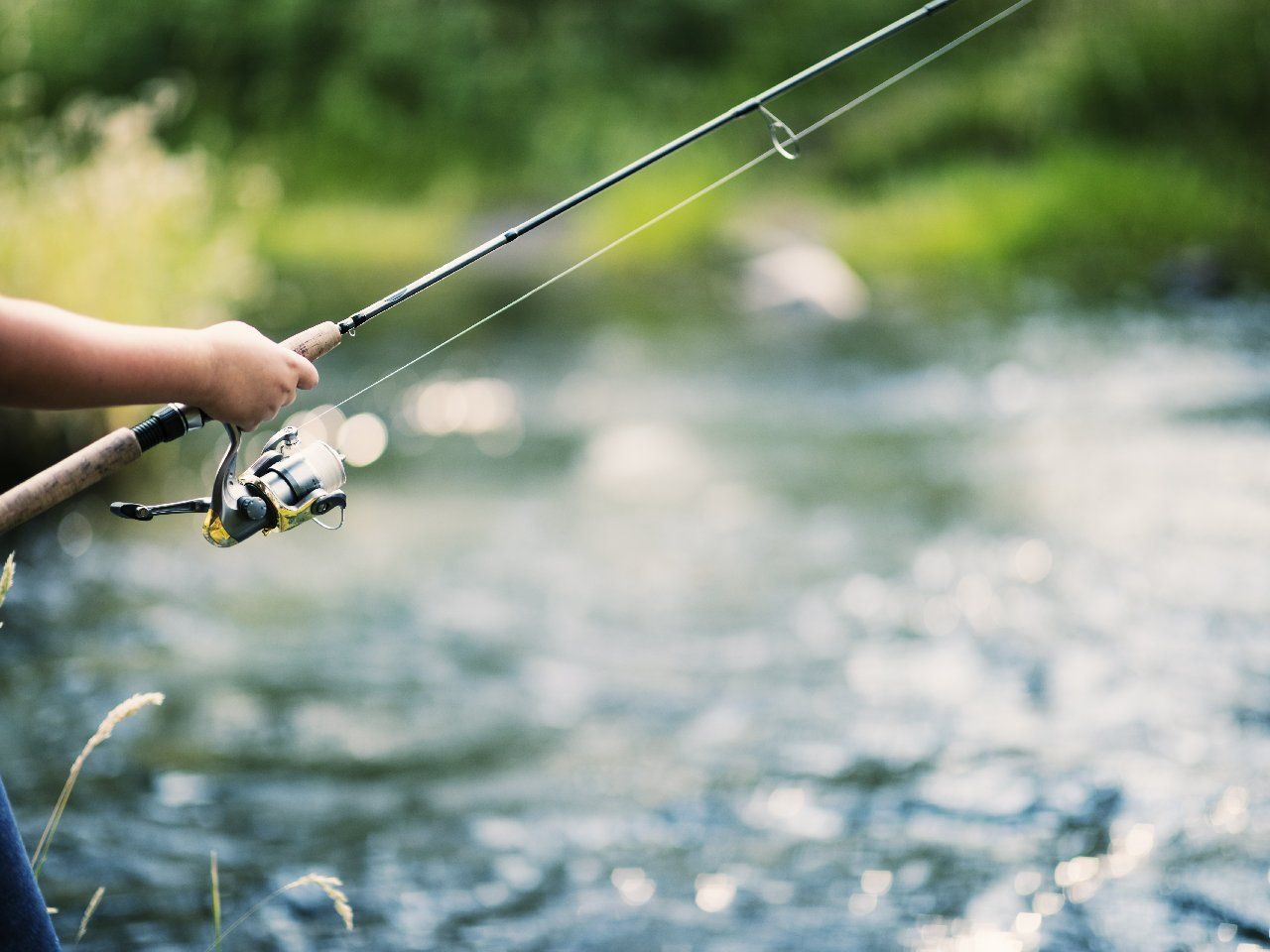 Sumik karłowaty. Występowanie i łowienie - Poza domem