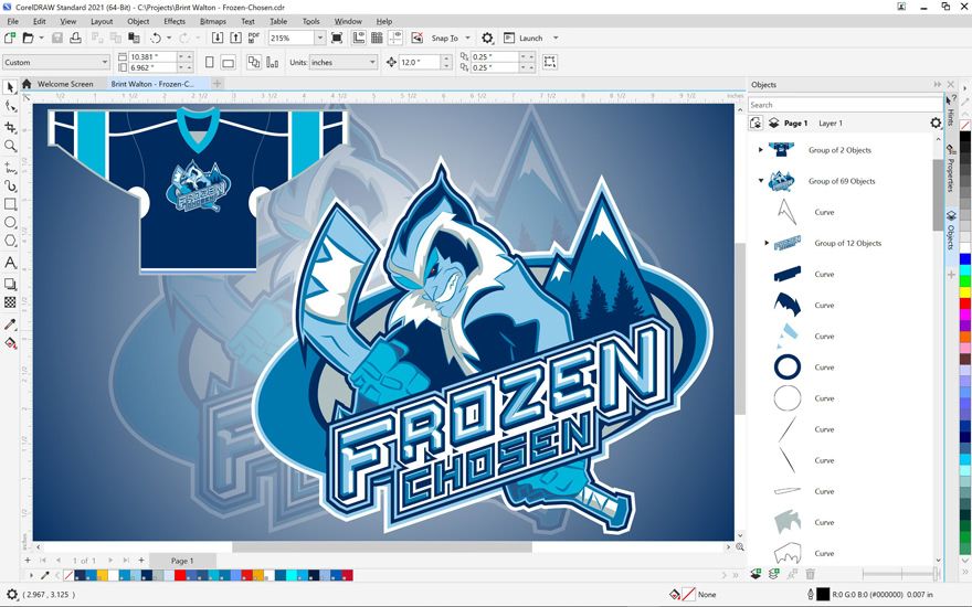 CorelDRAW Standard 2021 WIN PL - Opinie i ceny na Ceneo.pl