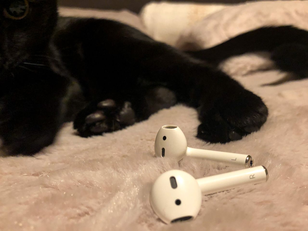 Galaxy Buds Pro vs AirPods Pro - Magazyn Ceneo.pl