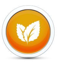 DIKY 4% płyn 30ml - Opinie i ceny na Ceneo.pl