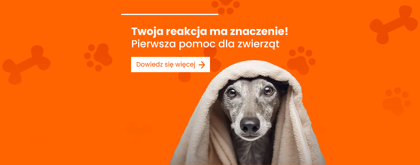 Ceneo - porównanie cen, sklepy, perfumy, agd, rtv, komputery