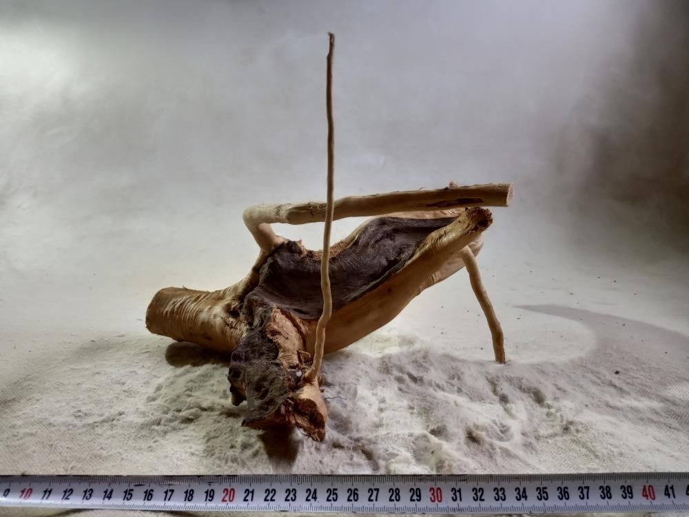 Invital Dekoracja Id 3614 - Ceny i opinie - Ceneo.pl