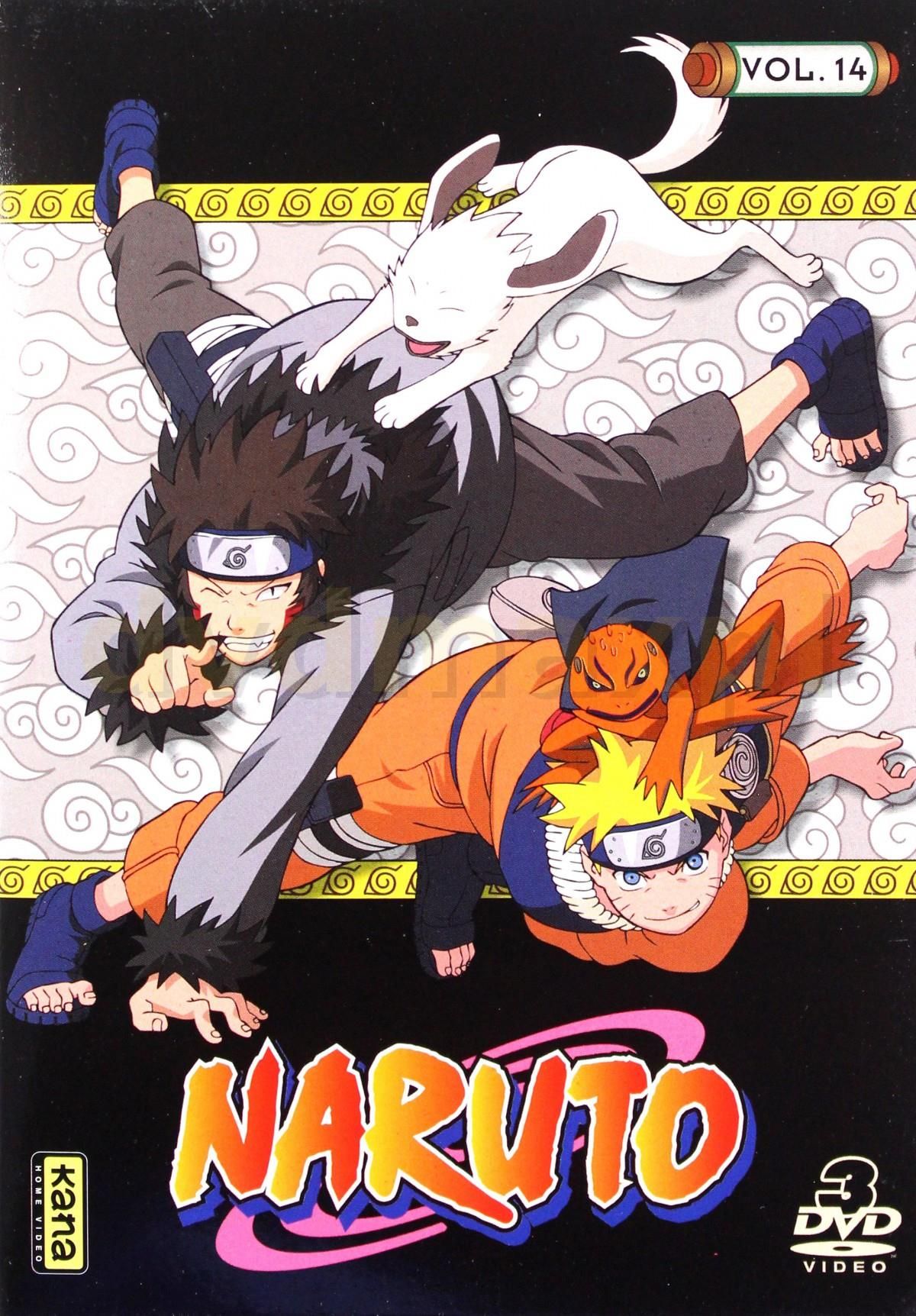 Film DVD Naruto Vol. 14 [3DVD] - Ceny i opinie - Ceneo.pl