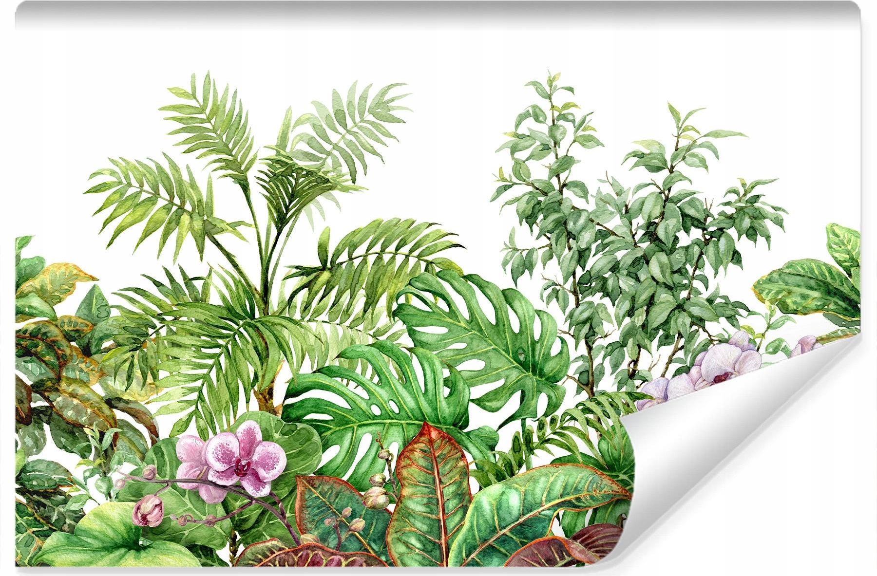 MURALO FOTOTAPETA DO SALONU TROPIKALNE LIŚCIE 3D 315X210 - Opinie i ceny na Ceneo.pl