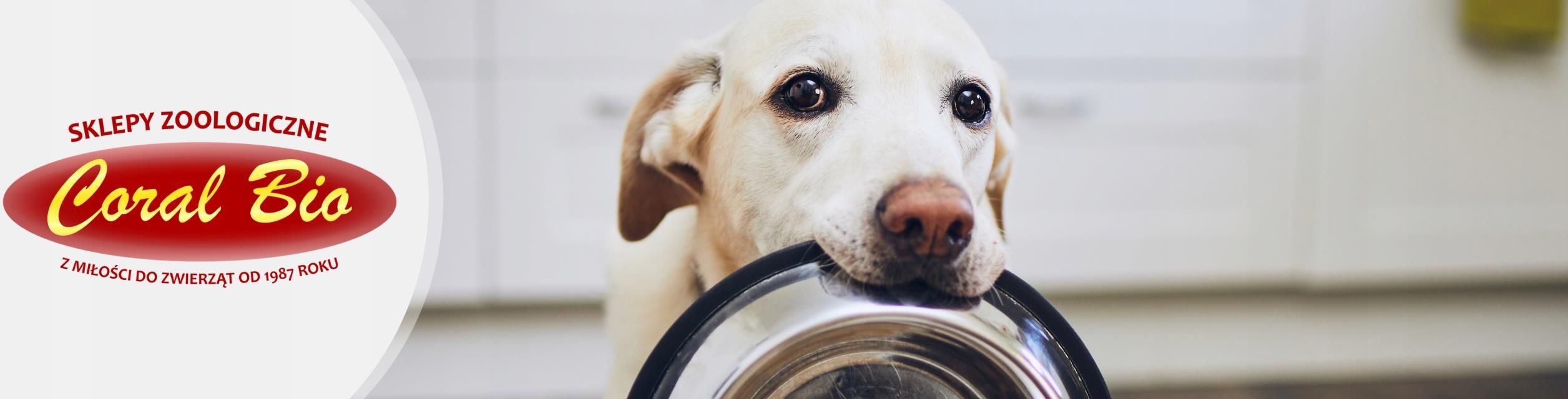 Karma Calista Z Jagnięciną Adult Dog Lamb 12Kg - Ceny i opinie - Ceneo.pl
