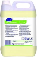 Diversey Płyn Do Ekstrakcyjnego Czyszczenia Wykładzin Podłogowych I ...