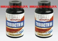 Activlab Tribuactiv B6 2x 90 Kaps - Ceny i opinie - Ceneo.pl