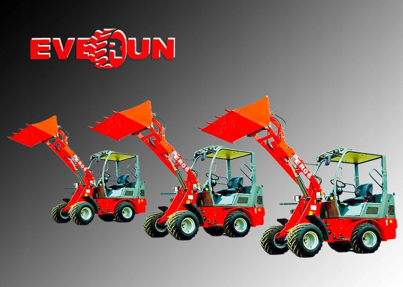 Nowa ładowarka kołowa EVERUN ER 12 - Opinie i ceny na Ceneo.pl