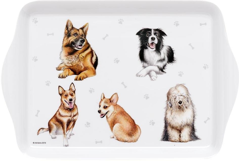 Ashdene Taca Średnia Kennel Club Working (17500) - Opinie i atrakcyjne ...