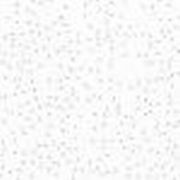 AMF Filigran - Opinie i ceny na Ceneo.pl