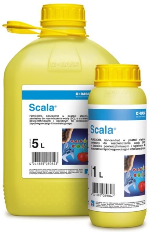 Scala 1L Basf - Ceny i opinie - Ceneo.pl