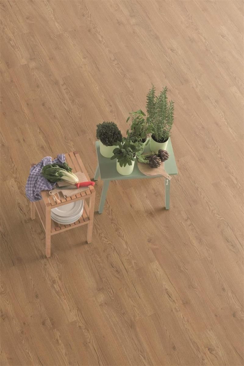 Panele Laminowane Egger Dąb Olchon Miodowy Epl144 Classic 12/33 - Opinie i ceny na Ceneo.pl