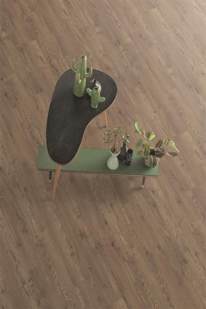 Panele Laminowane Egger Dąb Olchon Palony Epl146 Classic 12/33 - Opinie i ceny na Ceneo.pl