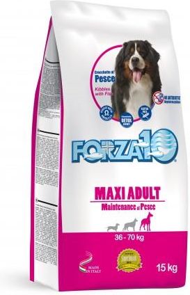 Karma Forza10 Maintenance Maxi 15Kg - Ceny i opinie - Ceneo.pl
