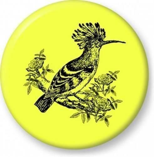 SGiW Broszka Przypinka 37Mm Ptak Dudek - Ceny i opinie - Ceneo.pl