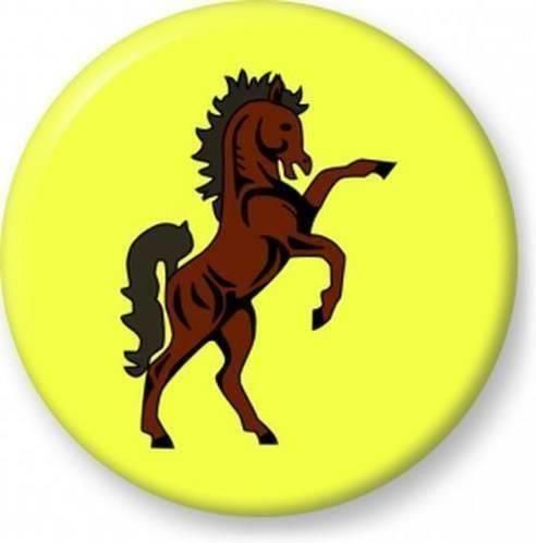 SGiW Broszka Przypinka 37Mm Ogier Koń - Ceny i opinie - Ceneo.pl