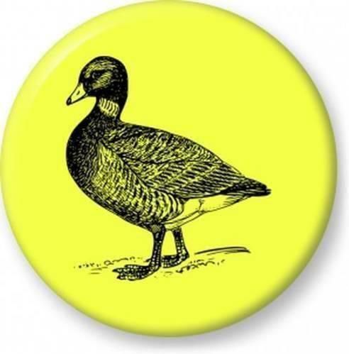 SGiW Broszka Przypinka 37Mm Ptak - Ceny i opinie - Ceneo.pl