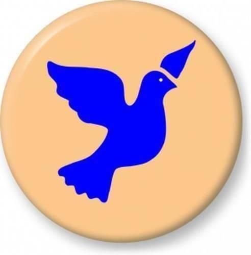 SGiW Broszka Przypinka 37Mm Niebieski Gołąb - Ceny i opinie - Ceneo.pl