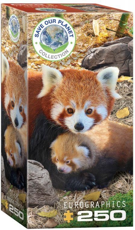 Eurographics Puzzle 250 Czerwone Pandy 8251-5557 - Ceny i opinie - Ceneo.pl