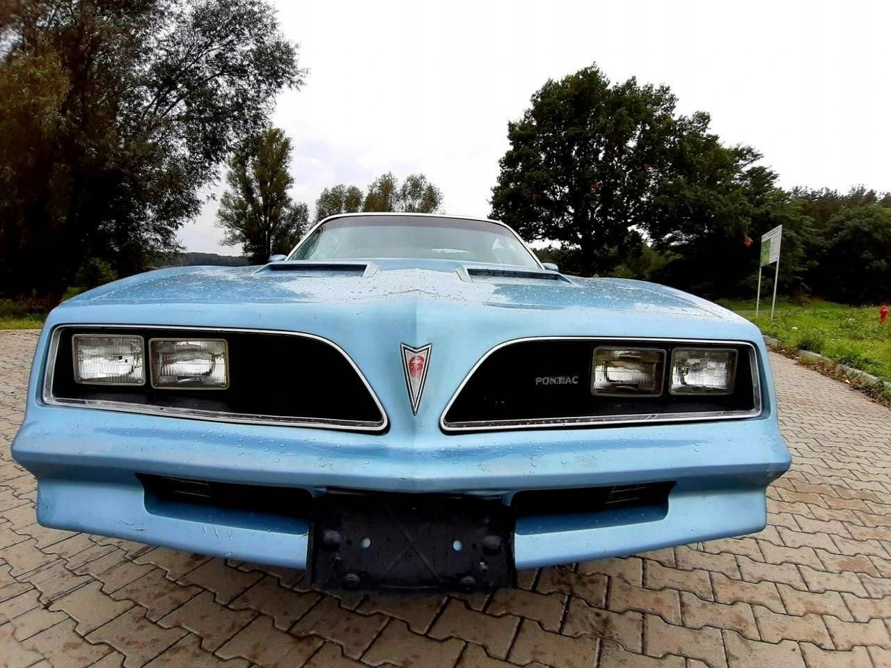 Pontiac Firebirde SKY Bird 1978 V8 350 Promocja - Opinie i ceny na Ceneo.pl