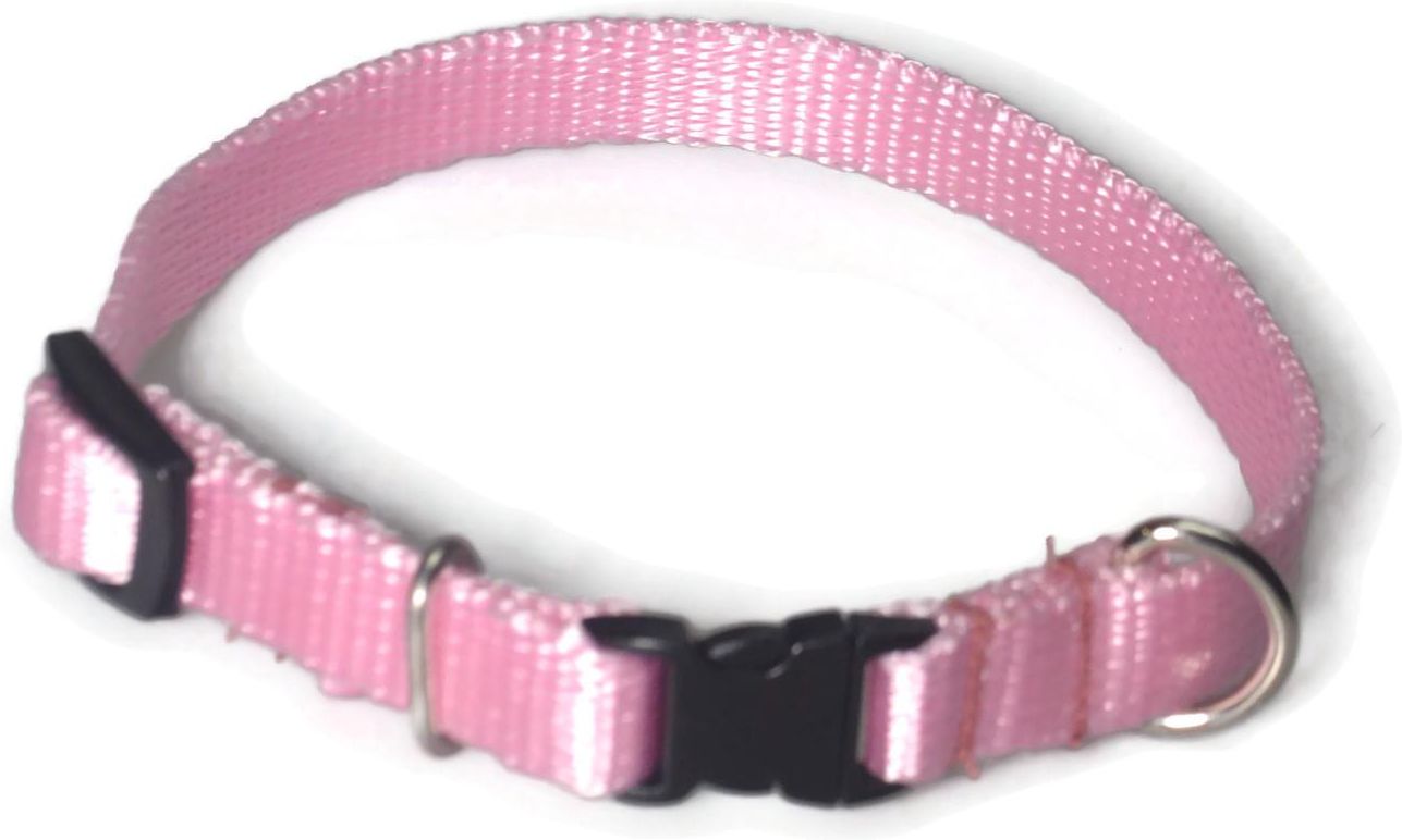 Alizoo Obroża dla małego psa 13mm/21-36cm - (A002) Jasny róż - Ceny i opinie - Ceneo.pl