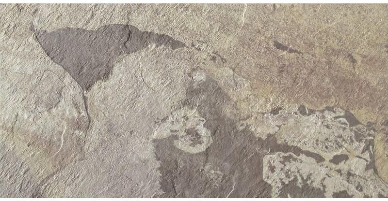 Płytki Del Conca Hnt 5 Grey Gres 30x60 - Opinie i ceny na Ceneo.pl