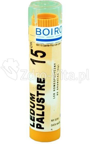 Lek homeopatyczny Boiron Ledum Palustre 15CH 4 g - Opinie i ceny na Ceneo.pl