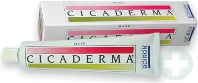 Lek homeopatyczny BOIRON Cicaderma Maść 30 g - Opinie i ceny na Ceneo.pl