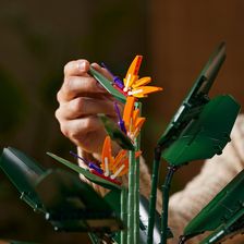 LEGO Creator 10289 Botanical Collection Strelicja królewska - Ceny i ...