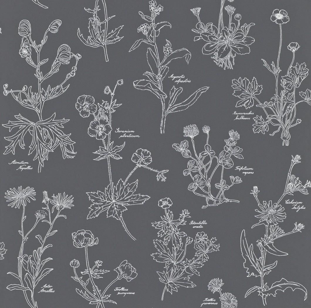 Rasch Tapeta Ścienna Freja 897456, Zielnik (897456) - Opinie i ceny na ...