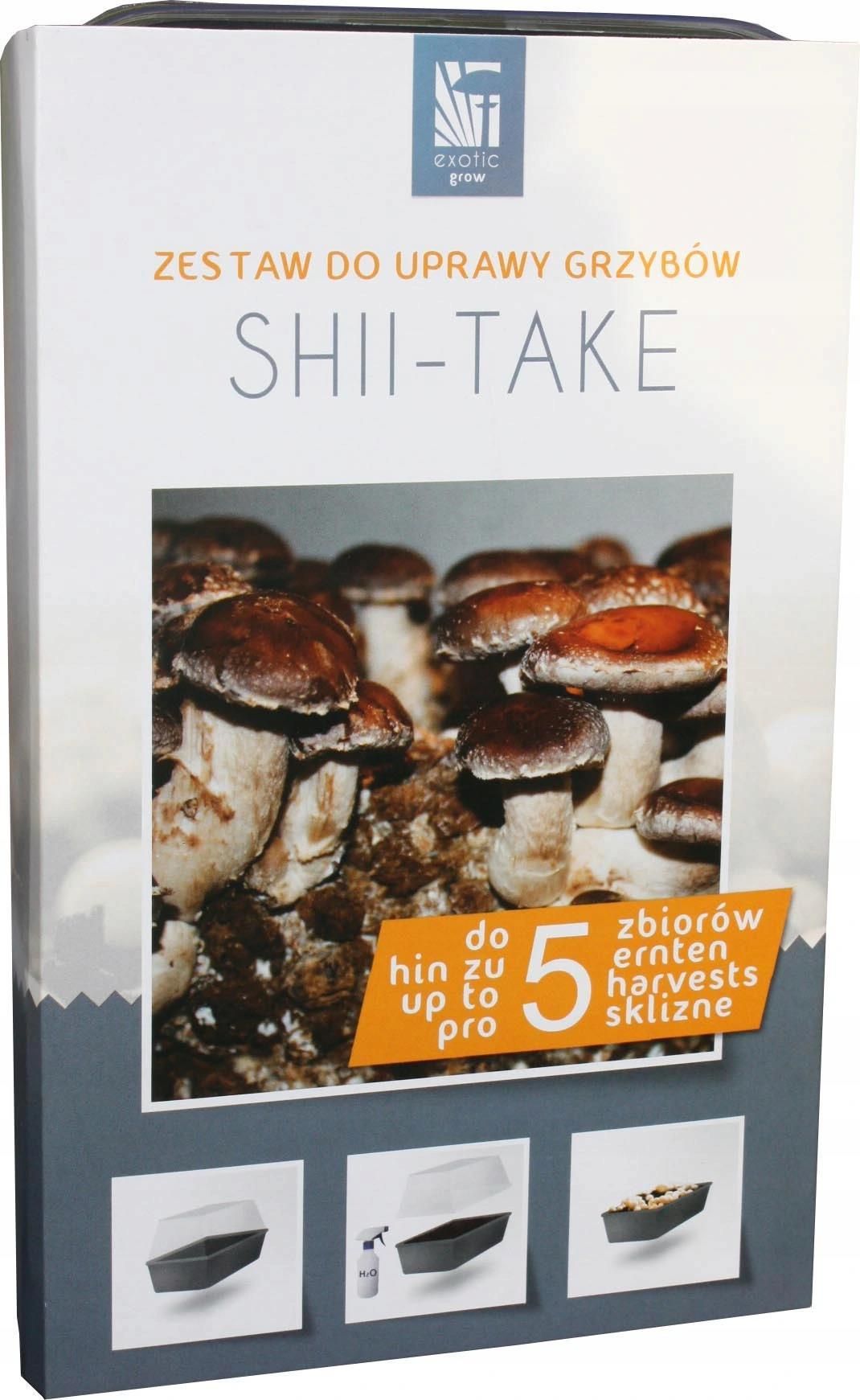 Grzybnia Shii Take uprawa w domu Twardziak Jadalny - Ceny i opinie ...