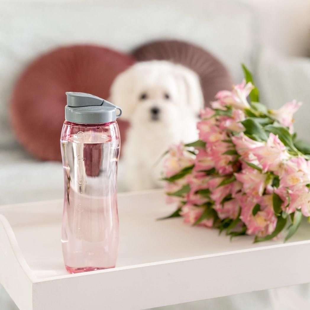 Dafi Bidon 0,6l flamingowa zakrętka stalowa - Ceny i opinie - Ceneo.pl