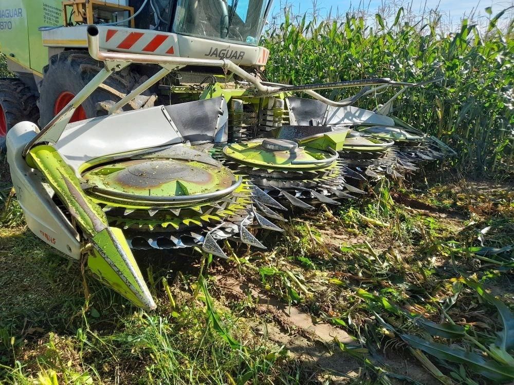 CLAAS ORBIS 600 2006r przystawka do kukurydzy - Opinie i ceny na Ceneo.pl