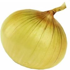 Cebula cukrowa 10kg - Ceny i opinie - Ceneo.pl