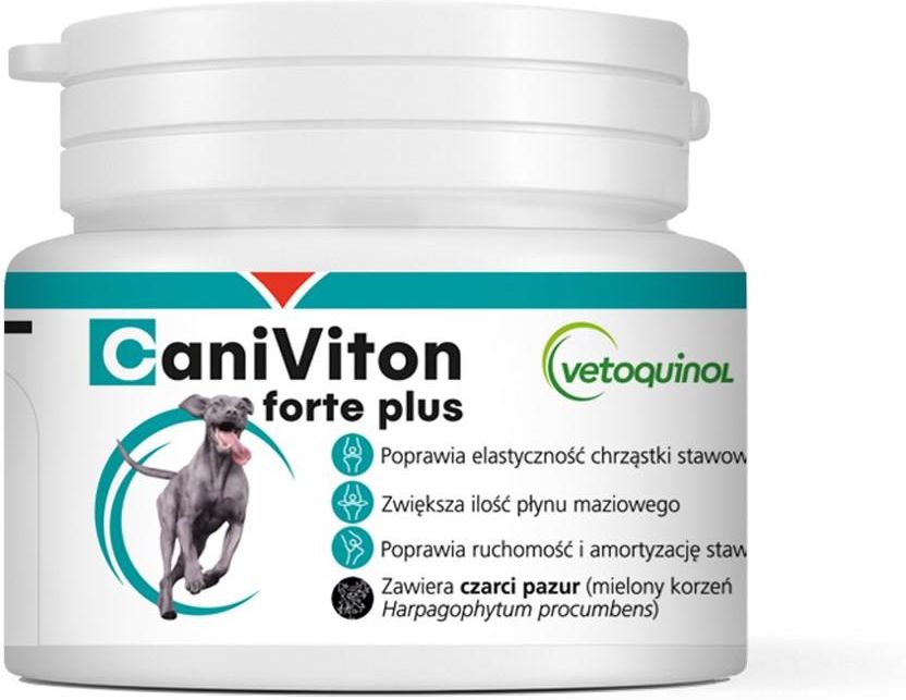 CANIVITON FORTE PLUS 30 TABLETEK - Ceny i opinie - Ceneo.pl