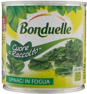 Bonduelle Spinaci In Foglia Liście Szpinaku 380G - Ceny i opinie - Ceneo.pl