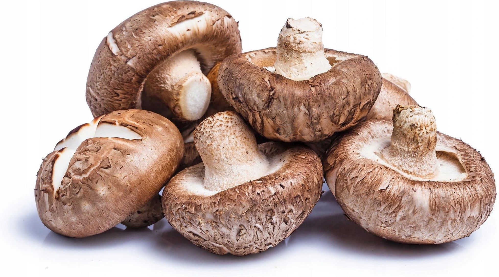 Grzyby shitake 200 gram Chiny - Ceny i opinie - Ceneo.pl