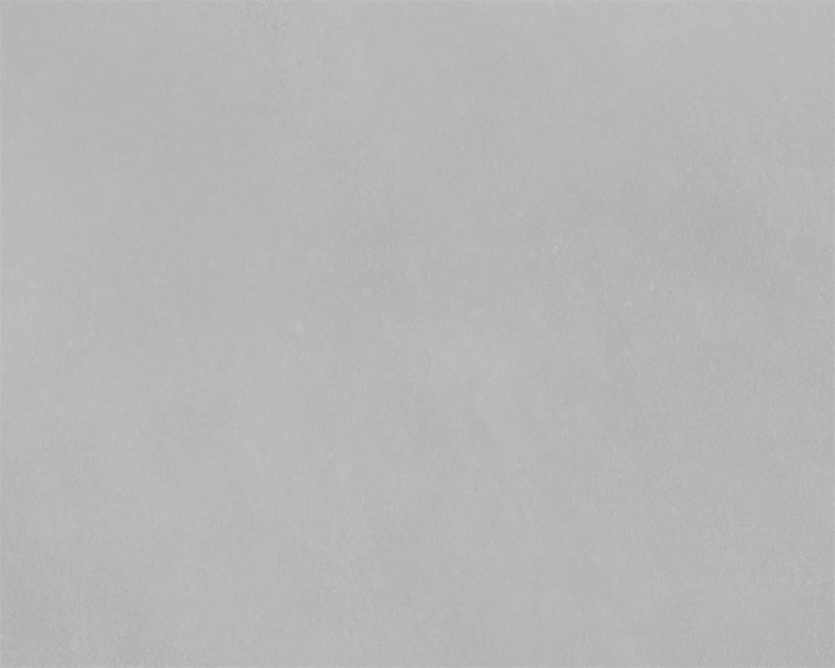 Płytki Stargres Walk Soft Grey Rekt. 60X120 - Opinie i ceny na Ceneo.pl