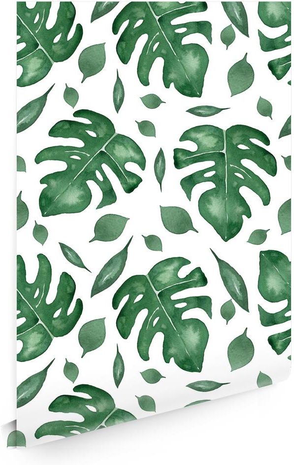 PRINTEDWALL TAPETA LIŚCIE MONSTERA DŻUNGLA T01265 - Opinie i ceny na ...