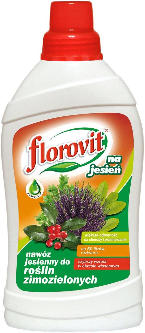 Nawóz Florovit Jesienny Do Roślin Zimozielonych - Ceny i opinie - Ceneo.pl