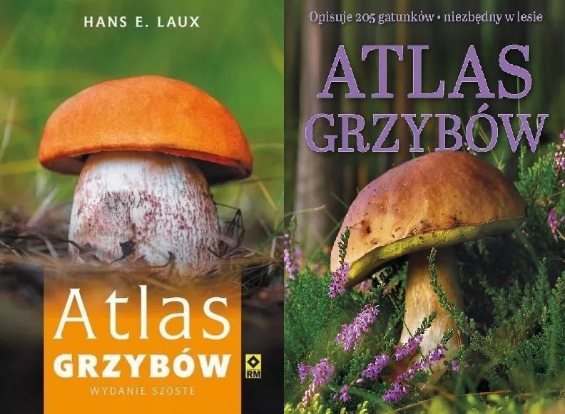 Atlas grzybów w.4 - Ceny i opinie - Ceneo.pl
