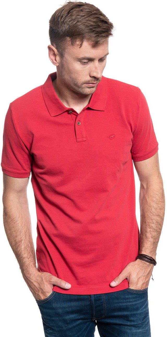 Mustang Koszulka Polo Męska Pablo Pc Polo 1009974 8347 - Ceny i opinie ...