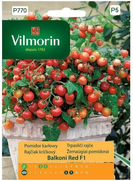 Pomidor Balconi Red 0,1G Vilmorin - Ceny i opinie - Ceneo.pl