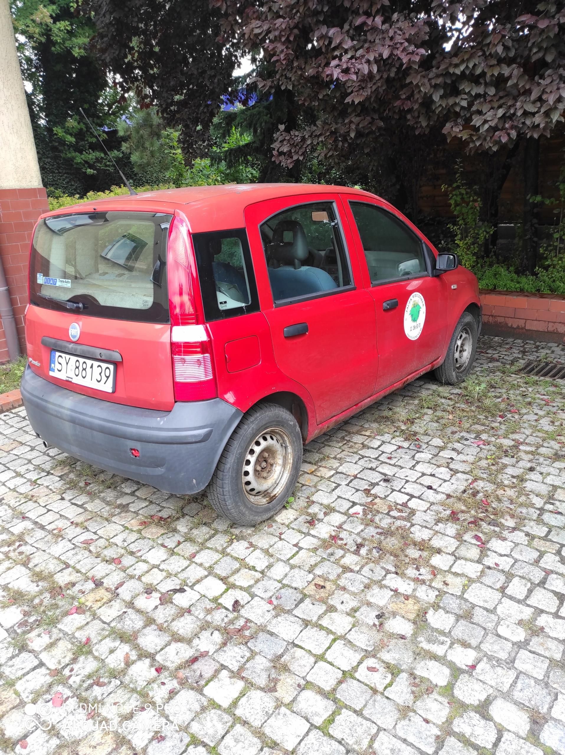Fiat Panda typ 169 z 2006 roku - Opinie i ceny na Ceneo.pl